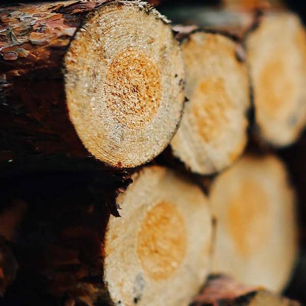 Ved - Kanmers nettbutikk